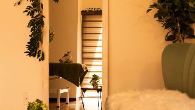 文化村から徒歩2分・神泉駅歩3分|広々サロン。昇降ベッド・大型テーブルとソファを配したボタニカルな空間 *4階まで階段ですの写真27