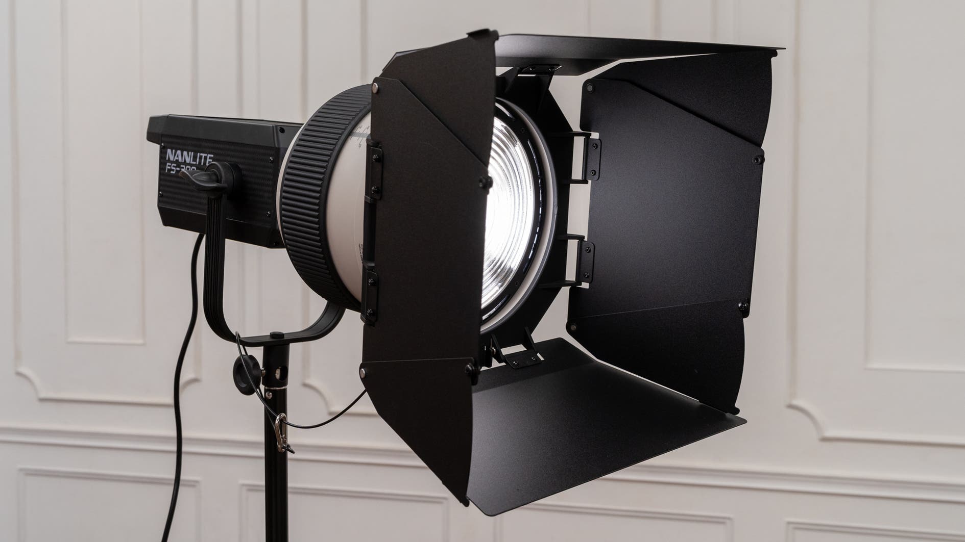 フレネルスポット　FL-20Gの画像3