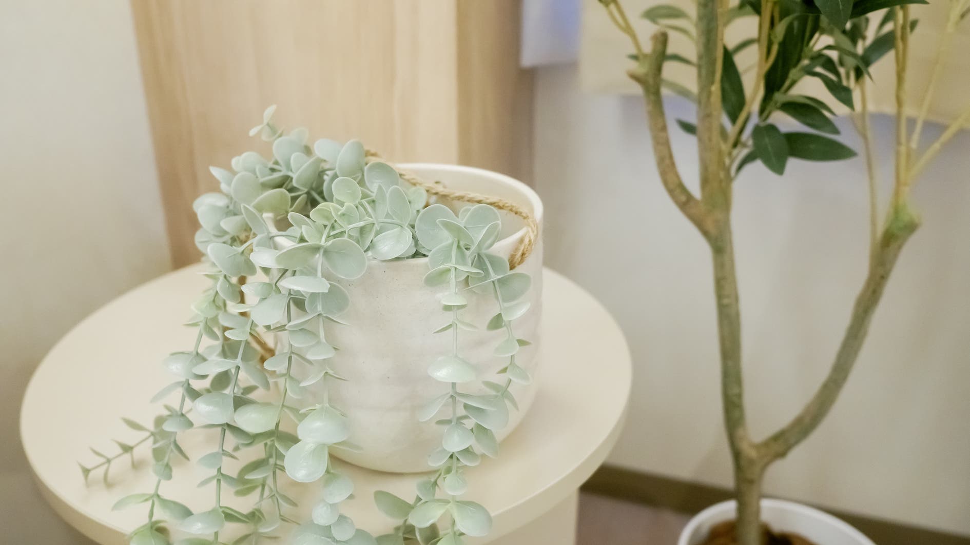 銀座推し活🎀白×ナチュラル映え空間🌿誕生祭・女子会・撮影に📸完全貸切✨24時間OK🚃の写真17