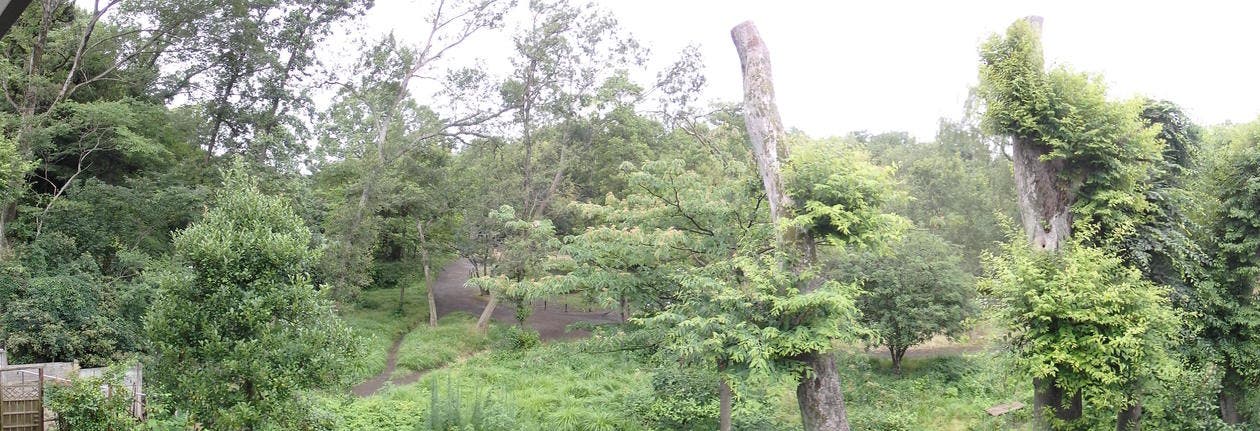 石神井舞台の写真14