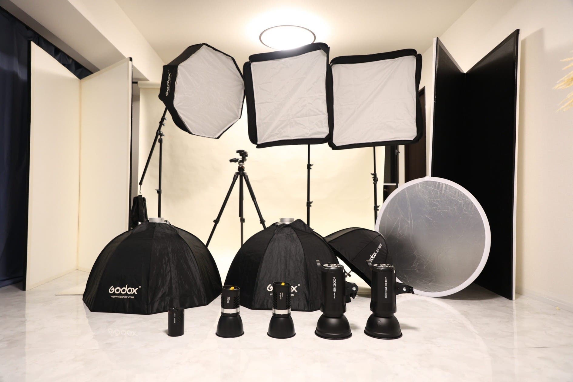 【クリスマスキャンペーン】クリスマスブース設置　自然光　白スタ ドライフラワー🎃ポートレート、コスプレ、女子会、パーティの写真9