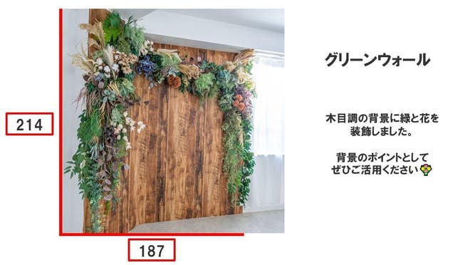 飯田橋駅2分|自然光 × 二面採光 × アーチ × 白壁 × 植物|24時間OK|土足OKの写真16