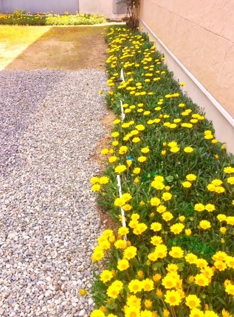 *TV撮影・キッチンカーや商品撮影:屋外イベントスペース＊丸本屋:机＆椅子＋町家内化粧室＋水道コンセント有。予約リクエストの写真6