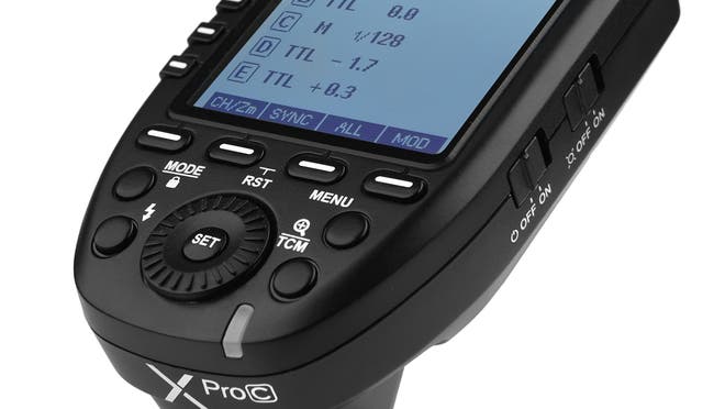 【クリスマスキャンペーン】クリスマスブース設置 自然光 白スタ ドライフラワー🎃ポートレート、コスプレ、女子会、パーティの写真24