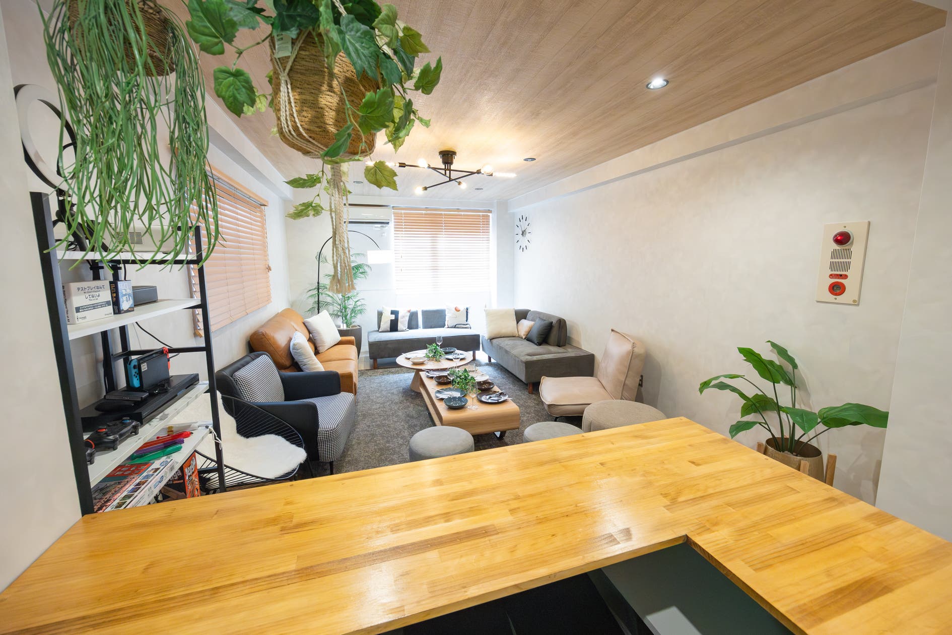 スペモ🌿クリスマス🌲歓送迎会🎊女子会🎀120㌅プロジェクター🎥パーティ🎉ママ会🤱🏻401_Oasis秋葉原3rdの写真7