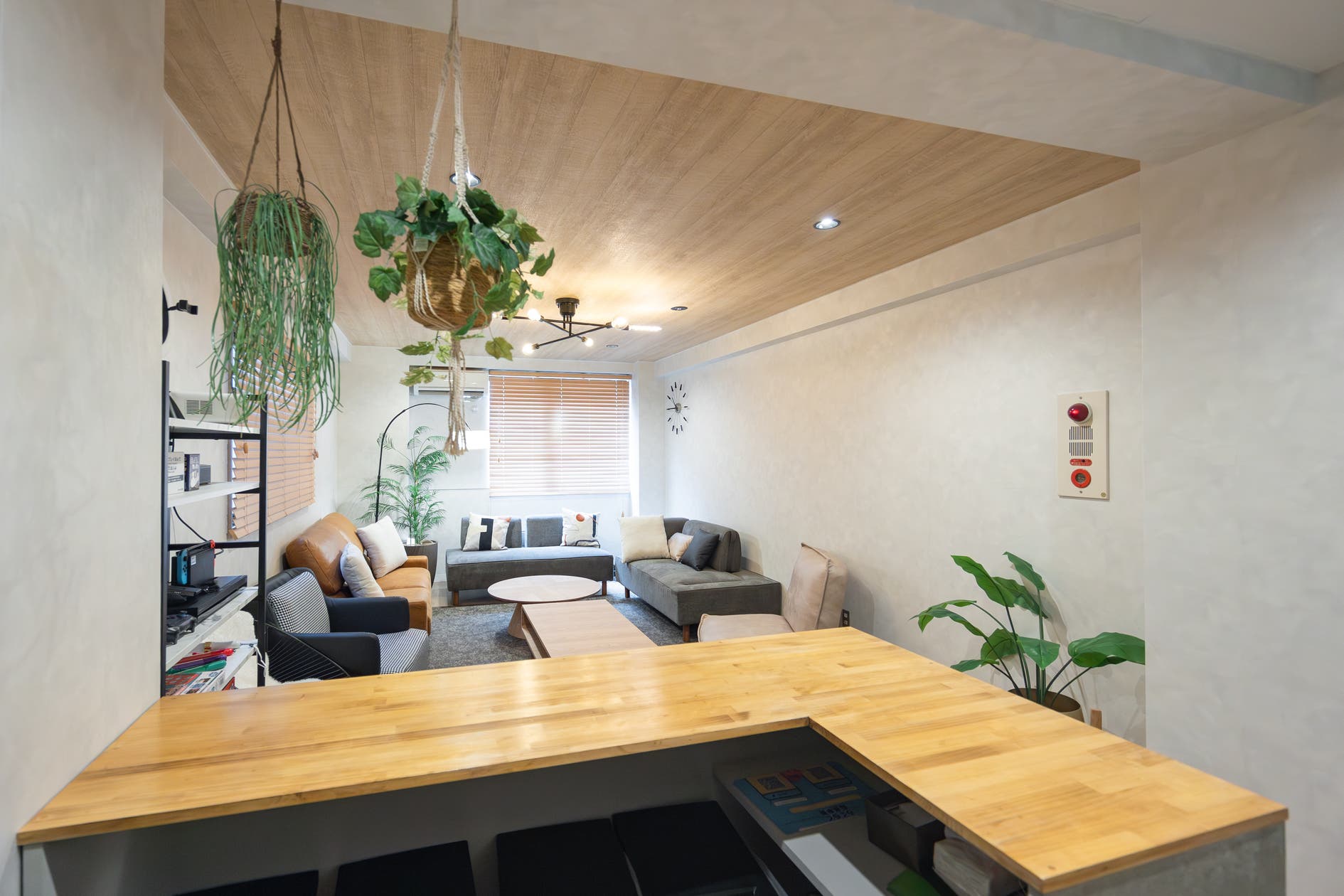 スペモ🌿クリスマス🌲歓送迎会🎊女子会🎀120㌅プロジェクター🎥パーティ🎉ママ会🤱🏻401_Oasis秋葉原3rdの写真14