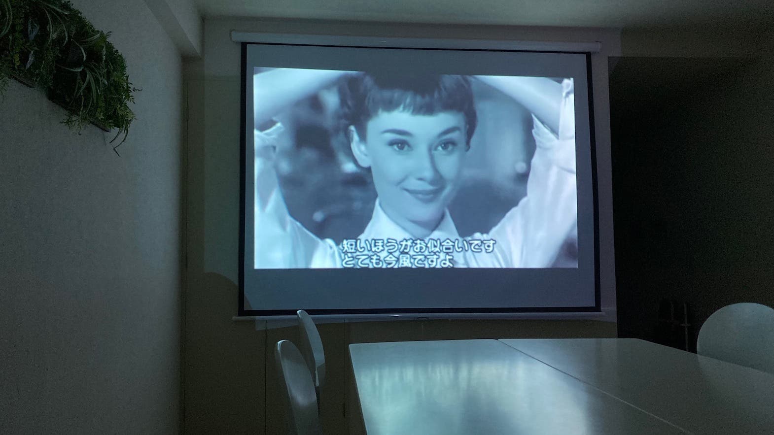 プロジェクター用スクリーンの画像1