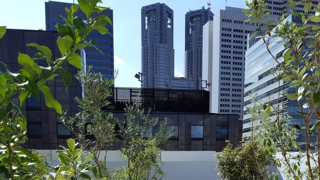 西新宿ビル群の大パノラマ・100㎡家具付き8F+ルーフトップ貸切 新宿駅6分(場所貸しのみ・飲食物のご提供は別途ご相談ください)の写真3