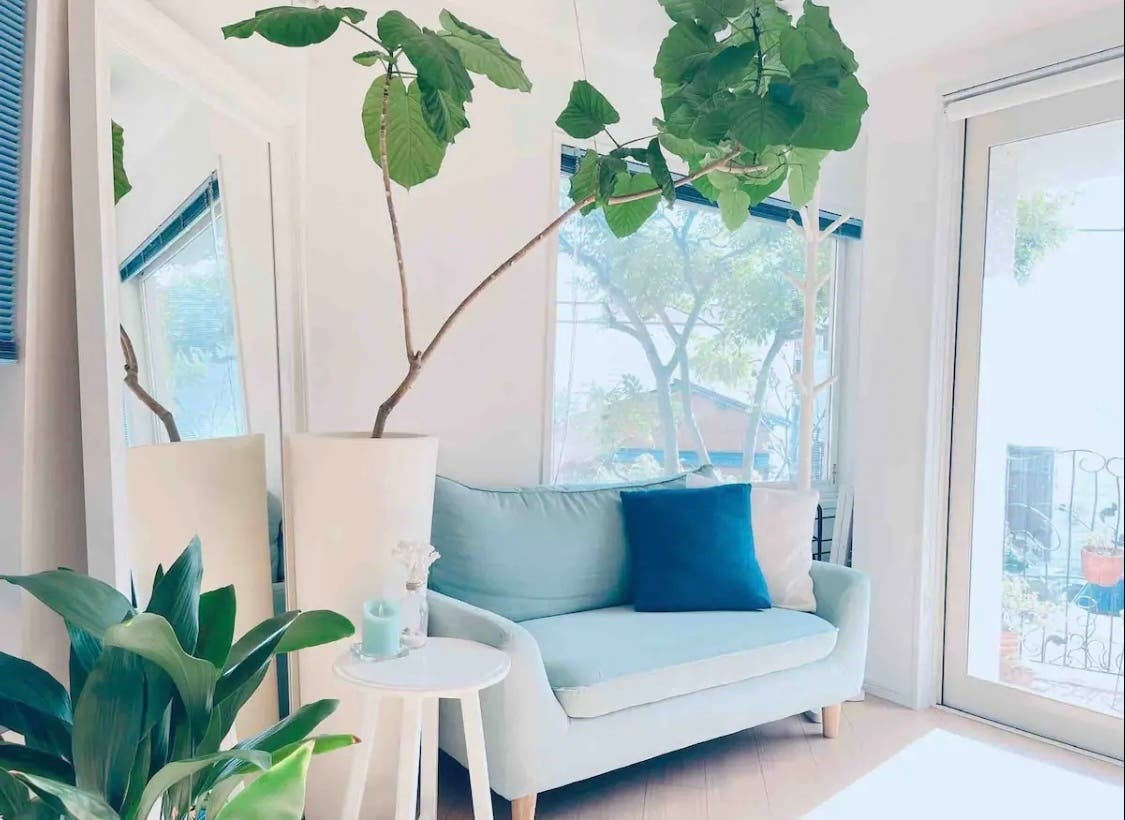 【元町中華街駅から徒歩6分の一軒家】自然光豊かなダイニング&キッチン♡　撮影・ホームパーティー・ワークショップなどに！の写真18