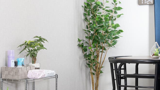 🎉池袋5分の貸切撮影スタジオ★3色カラー背景紙★アニメイトすぐ★撮影機材無料★コスプレ★SNS・YouTube撮影★の写真5