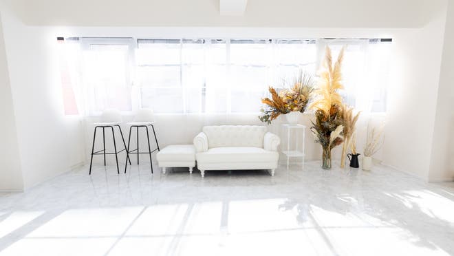 【クリスマスキャンペーン】クリスマスブース設置 自然光 白スタ ドライフラワー🎃ポートレート、コスプレ、女子会、パーティの写真1