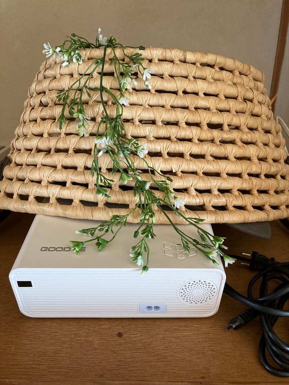 人気の一棟貸！　高知市知寄町一軒家　貸切スペース12LDKでくつろぎのひと時をの写真8