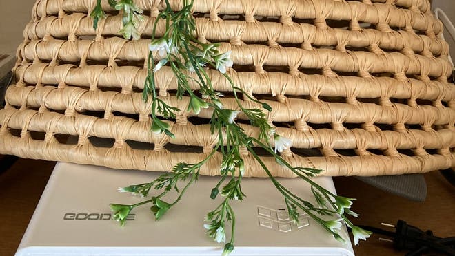 人気の一棟貸! 高知市知寄町一軒家 貸切スペース12LDKでくつろぎのひと時をの写真8