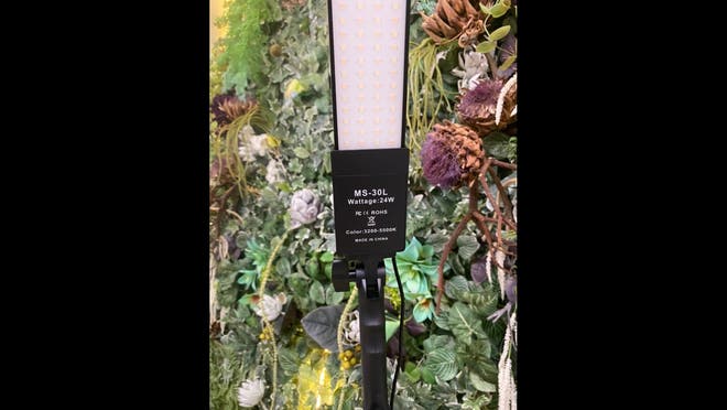 【平塚ICより車で5分】白いサロン 駐車場付き/リモートワーク/レッスン/自然光撮影の写真16