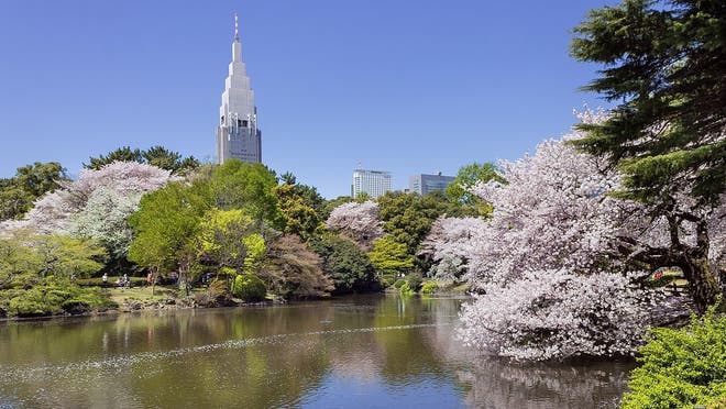 【新宿御苑前駅から徒歩3分・45名利用可🌟】■会議・研修・セミナー・ウェビナー・説明会■全室新宿御苑が見えます■4階D会議室の写真11