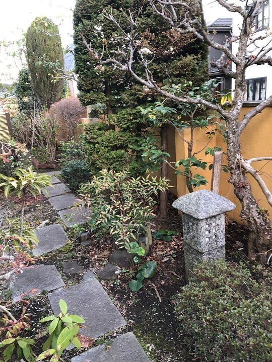 【自然光の入る和茶室】閑静な北鎌倉の一軒家のゆったり空間でお茶会や撮影会を！の写真6