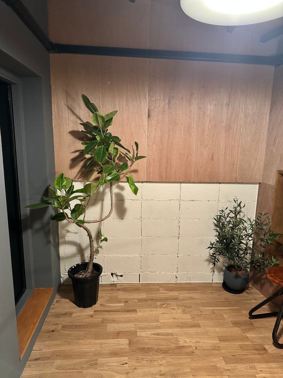 淡路市の撮影スタジオ/防音仕様/淡路IC車10分/ジェノバライン岩屋港徒歩10分の写真4