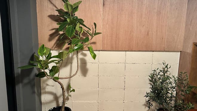 淡路市の撮影スタジオ/防音仕様/淡路IC車10分/ジェノバライン岩屋港徒歩10分の写真4