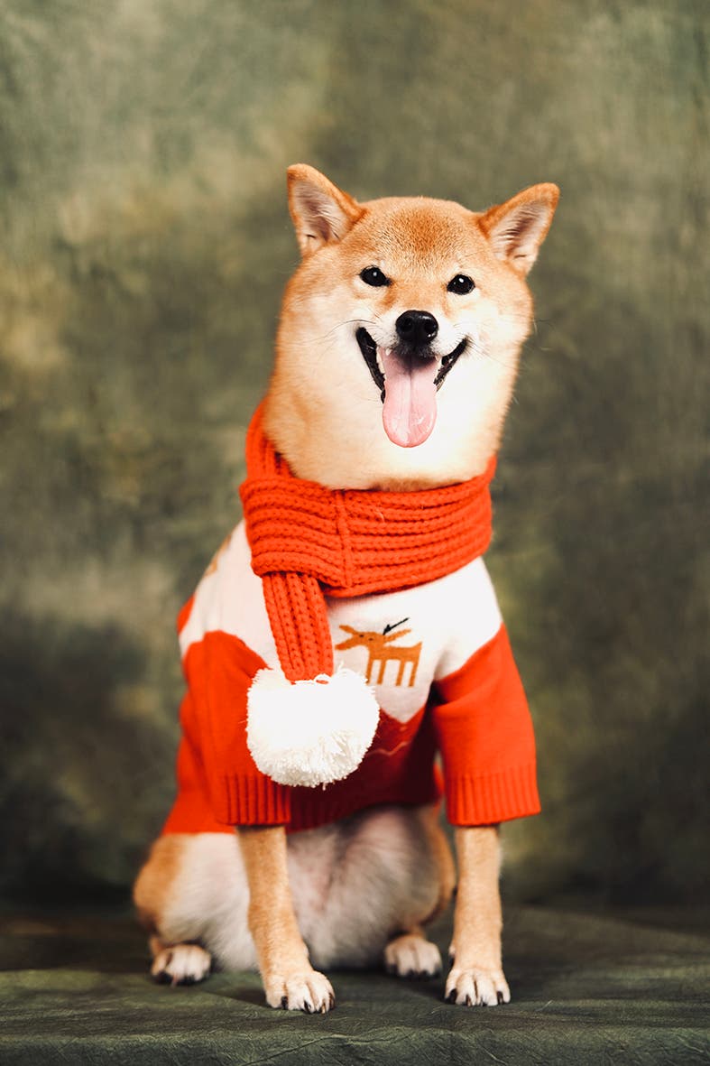 駐車場有・自然光満喫スタジオ｜ペット・楽器OK｜発表会・展示会・パーティー可｜道具使い放題｜機材使用可能の写真19