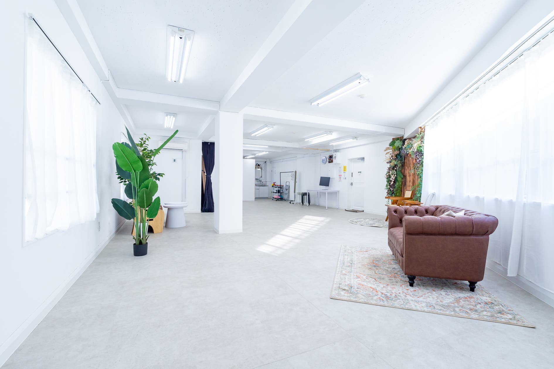 飯田橋駅2分｜自然光 × 二面採光 × アーチ × 白壁 × 植物｜24時間OK｜土足OKの写真11