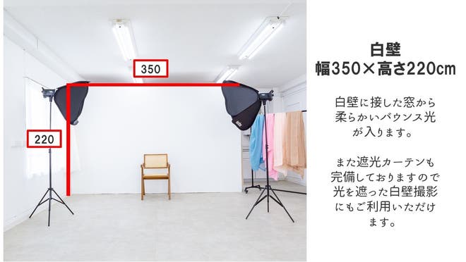 飯田橋駅2分|自然光 × 二面採光 × アーチ × 白壁 × 植物|24時間OK|土足OKの写真14