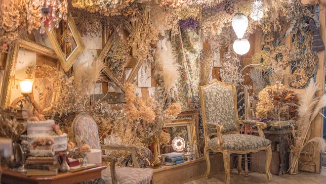 アンティークスタジオ ハナノスミカ 都営新宿線、大島駅A6出口徒歩3分の写真4