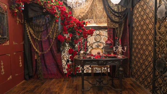 アンティークスタジオ ハナノスミカ 都営新宿線、大島駅A6出口徒歩3分の写真6