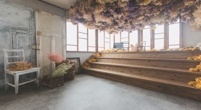 【Photo Studio ToP/JR宇都宮線 小山駅】天井のドライフラワーが特徴のインスタ映えスペース/写真撮影/動画撮影