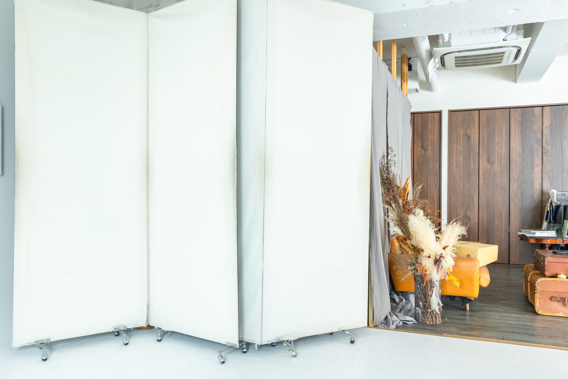 ＜阿部写真館＞フォトウェディングスタジオ貸切💐ペットOK🐶アンティーク/白ホリ/自然光✨ポートレート/コスプレ/動画撮影の写真9