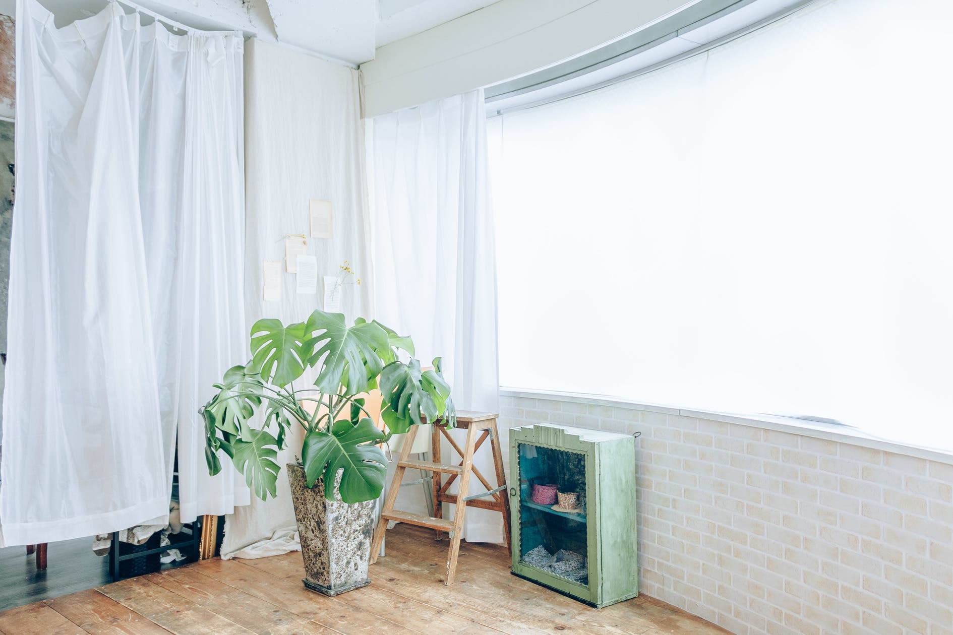 ＜阿部写真館＞フォトウェディングスタジオ貸切💐ペットOK🐶アンティーク/白ホリ/自然光✨ポートレート/コスプレ/動画撮影の写真14