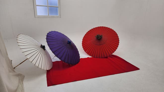 <阿部写真館>フォトウェディングスタジオ貸切💐ペットOK🐶アンティーク/白ホリ/自然光✨ポートレート/コスプレ/動画撮影の写真22