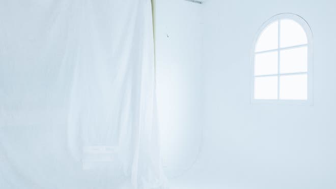 <阿部写真館>フォトウェディングスタジオ貸切💐ペットOK🐶アンティーク/白ホリ/自然光✨ポートレート/コスプレ/動画撮影の写真4