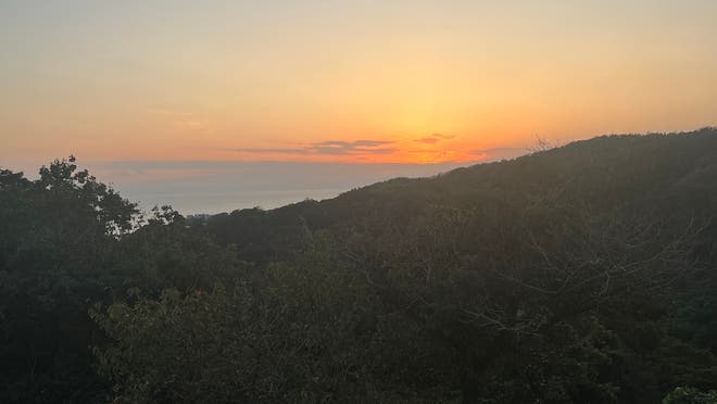 葉山の丘┃ヨガや撮影に┃海が見えるレストランの屋上の写真5