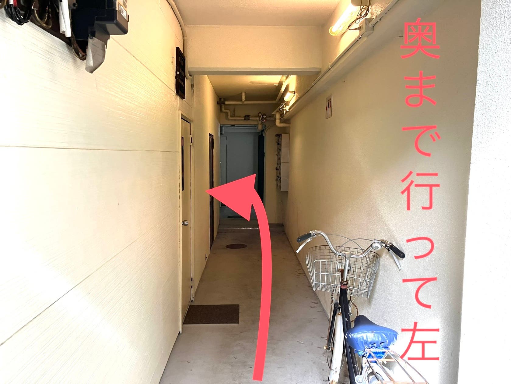 ✨枇杷島でダンス✨ヨガ、トレーニング、ウォーキング✨楽器ＯＫ✨✨の写真7