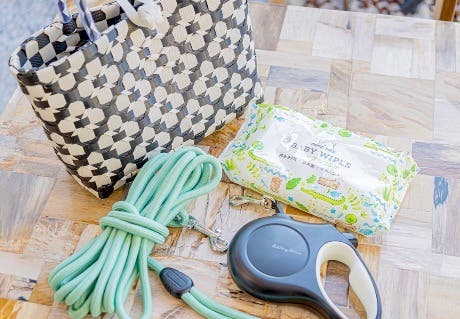 ドッグコテージ：プライベートドッグラン付きの1棟貸切コテージ・わんちゃんとの撮影、休憩、リゾートに最適！の写真4