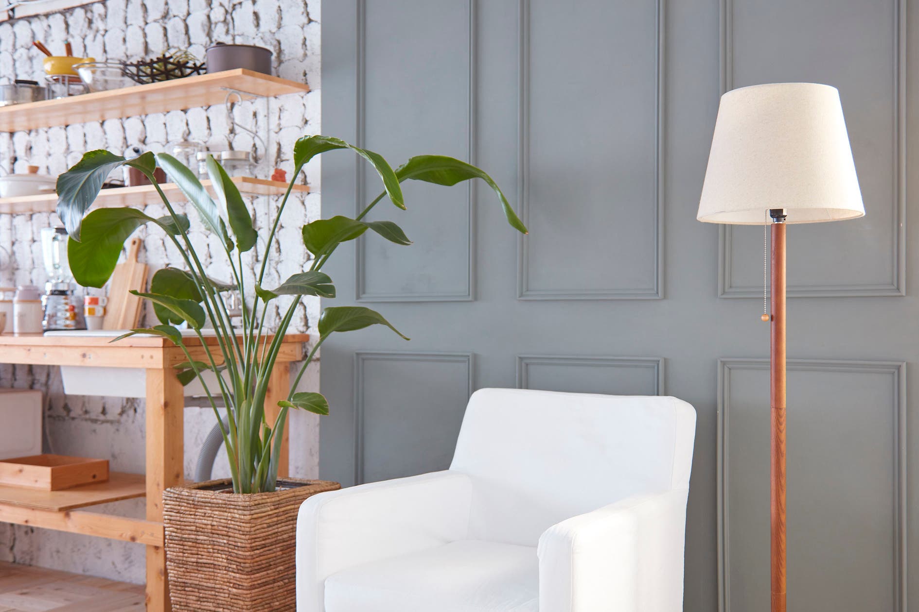 スタジオブルーツリー野田阪神駅〜徒歩10分！自然光が入るカジュアルでナチュラルな白い撮影スタジオの写真6