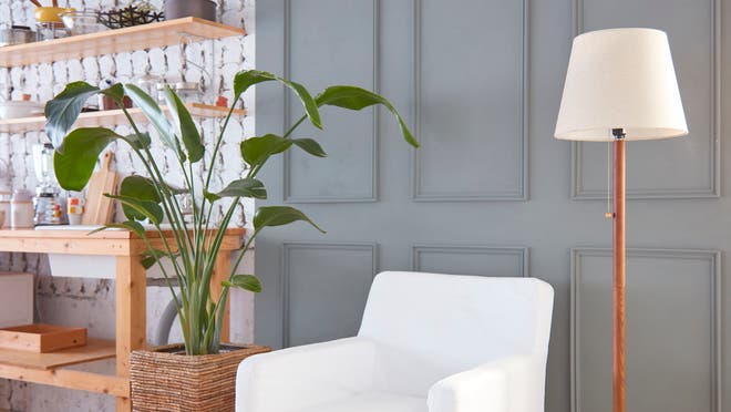 スタジオブルーツリー野田阪神駅〜徒歩10分!自然光が入るカジュアルでナチュラルな白い撮影スタジオの写真6