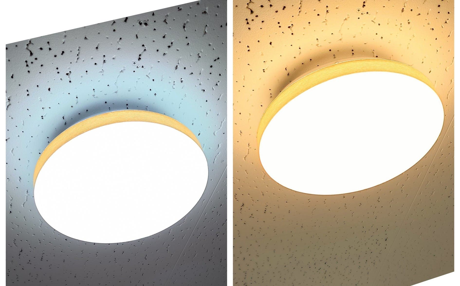 【新宿駅1分】おうちデート♥️女子会👩‍⚖️Switch&映画鑑賞🎬️タコパ🐙＆ヤコバ🚌ゴミ捨て🙆24h✨️✨の写真22