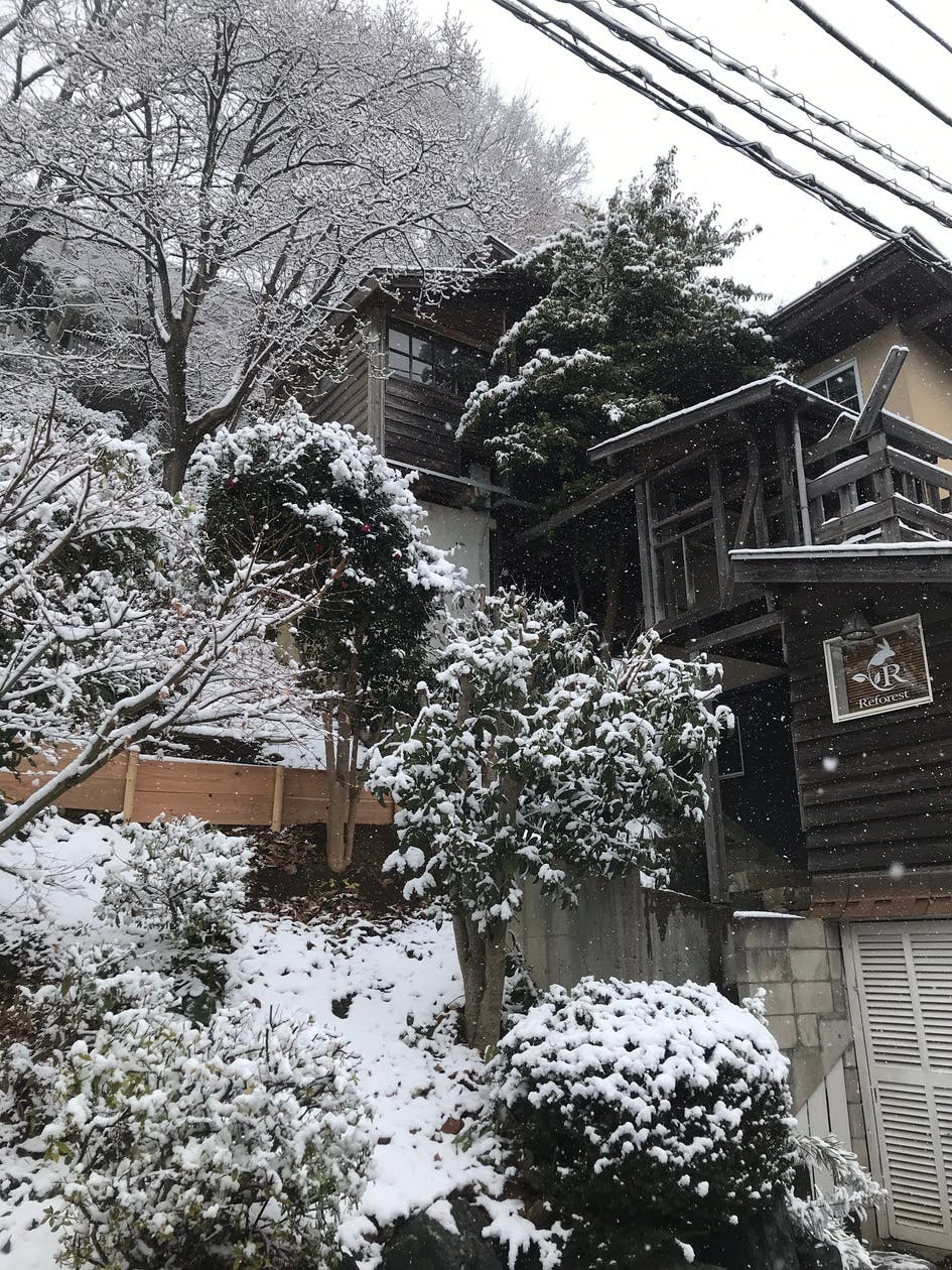 小さな森の小さなレンタルスペース【入間市駅徒歩10分】/撮影/イベント/展示会等の写真30