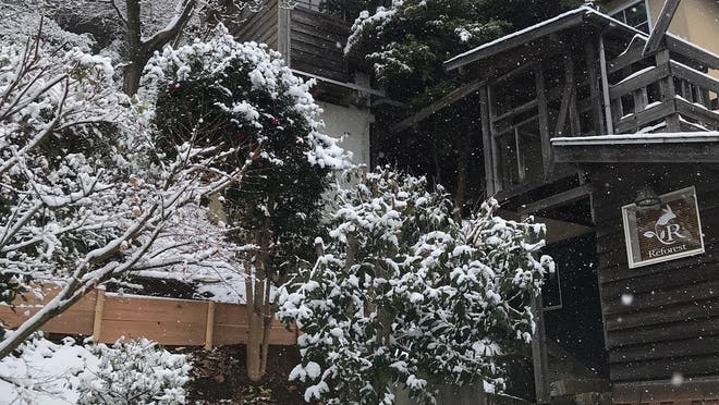 小さな森の小さなレンタルスペース【入間市駅徒歩10分】/撮影/イベント/展示会等の写真30