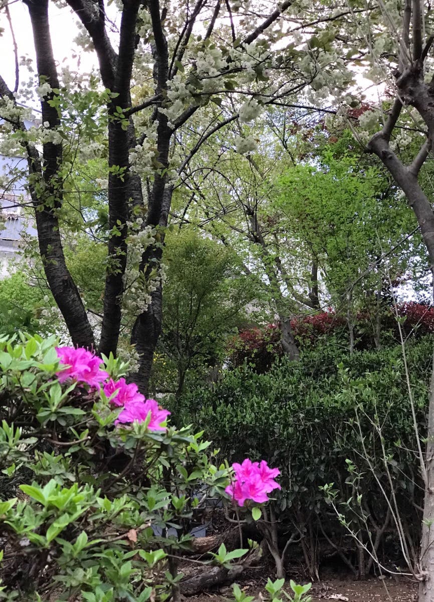 小さな森の小さなレンタルスペース【入間市駅徒歩10分】/撮影/イベント/展示会等の写真26