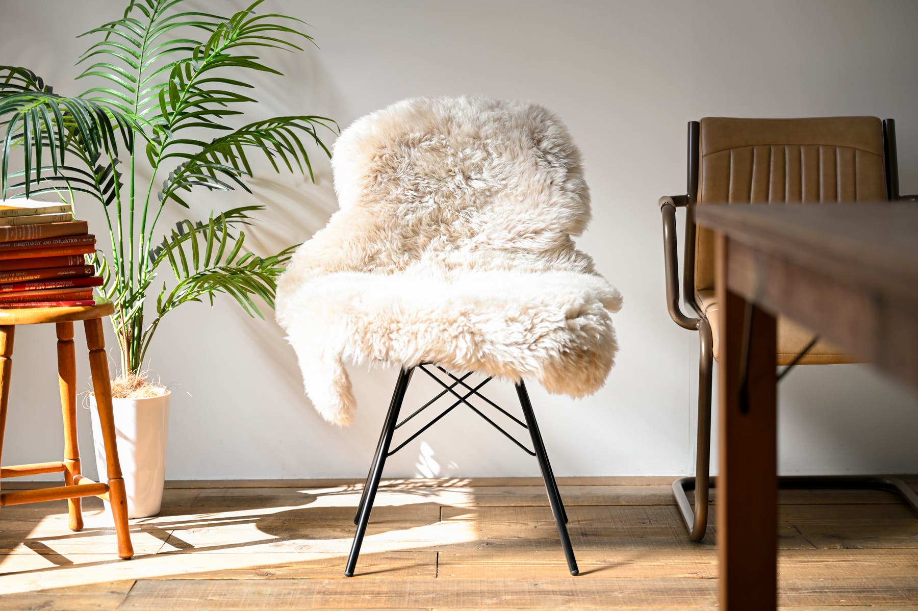 渋谷区富ヶ谷の心地いい自然光フォトスタジオの写真11