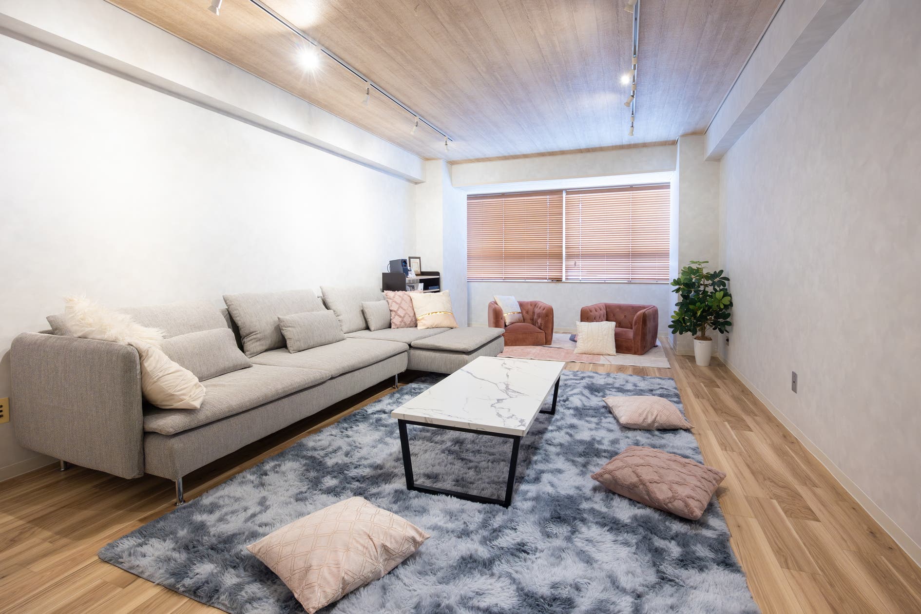 スペモ🌿クリスマス🎄学割👨‍🎓プロジェクター🎥女子会💖推し活🌷ボドゲ🎲パーティー🥂442_Oasis新宿2ndの写真9