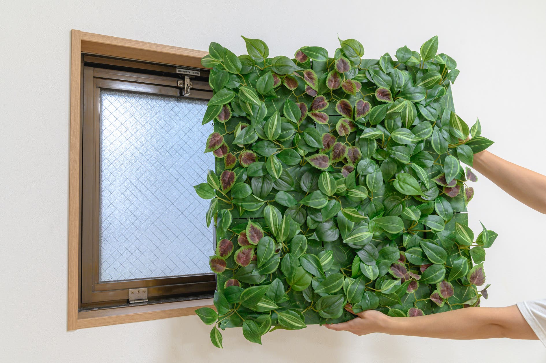 窓用目隠しの画像1