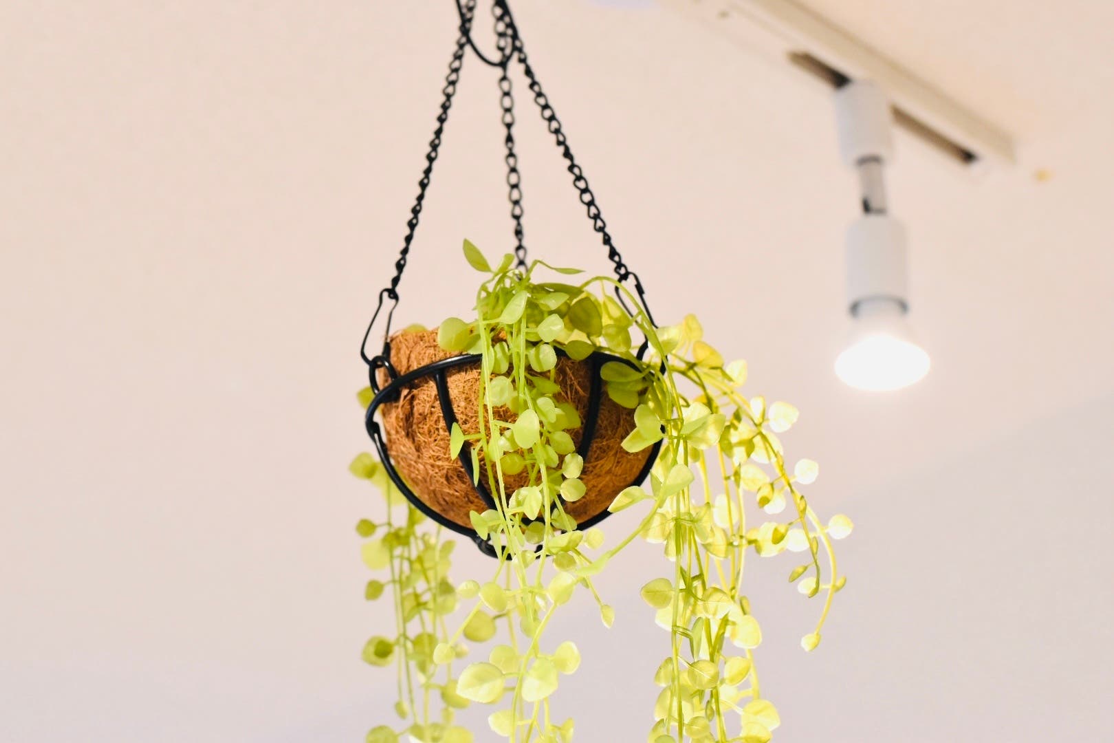 NEW🎉最大20名🉐駅2分🥳大人気ゲーム機🎮女子会💗推し活🌟タコパ🐙撮影📷パーティ🥂24H🏪飲み会🍻スキマ秋葉原の写真11