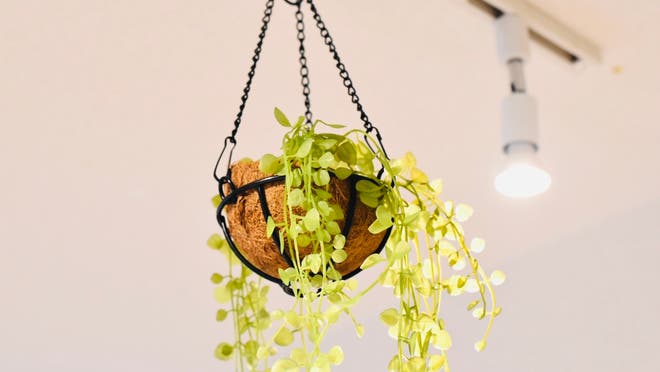 NEW🎉最大20名🉐駅2分🥳大人気ゲーム機🎮女子会💗推し活🌟タコパ🐙撮影📷パーティ🥂24H🏪飲み会🍻スキマ秋葉原の写真11