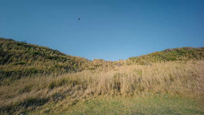 【完全貸切!海を見ながら絶景サウナ💦】都内から車で約1時間 最大8名様が同時にサウナ可能!の写真11