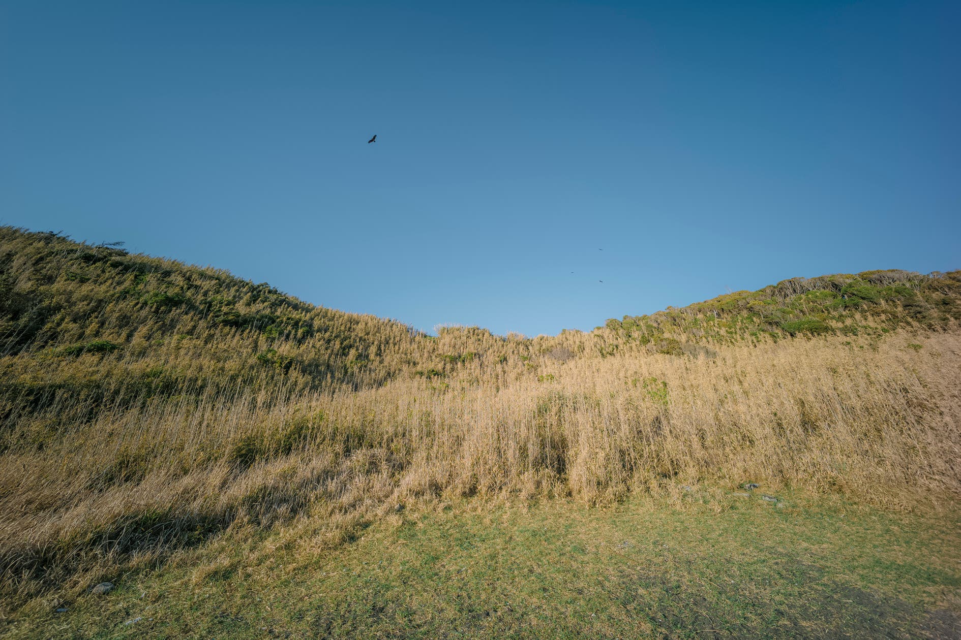 都内から車で約90分！BBQ・女子会・撮影に最適！の写真10