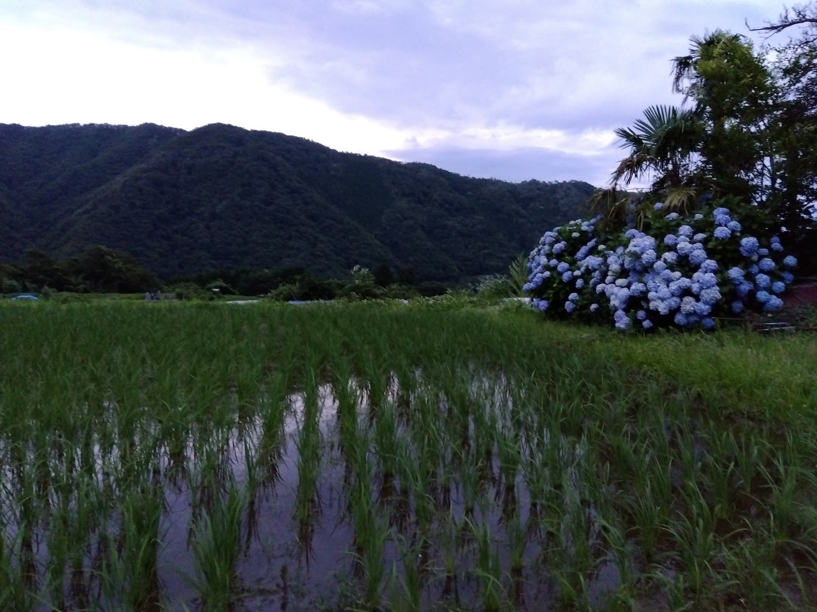 昭和古民家スペースの写真10