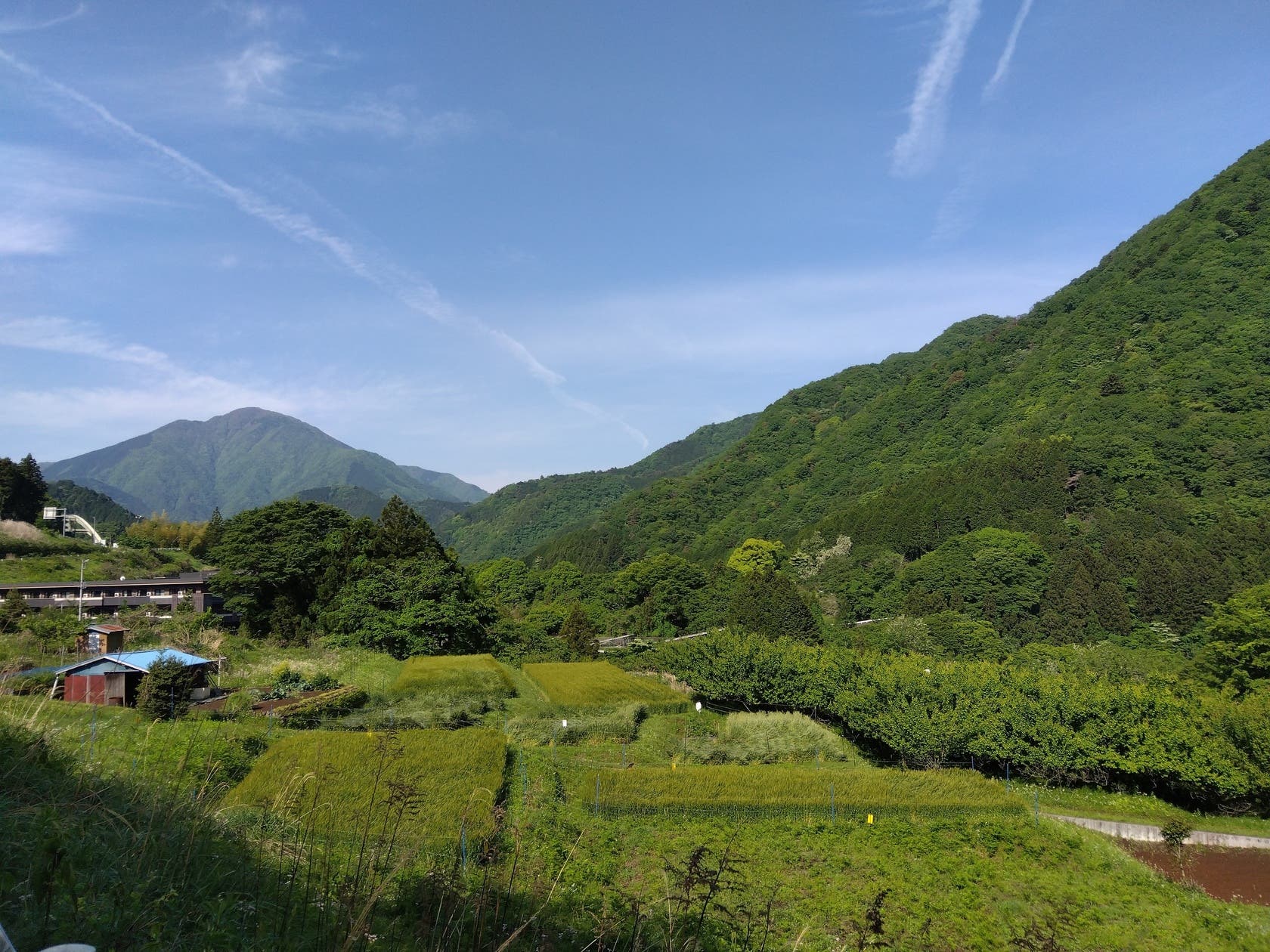 昭和古民家スペースの写真11